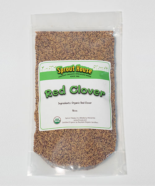 Red Clover - Sprout House