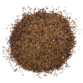 Sprout House Organic Sprouting Seeds | Non-GMO Sprout Seeds & Mixes